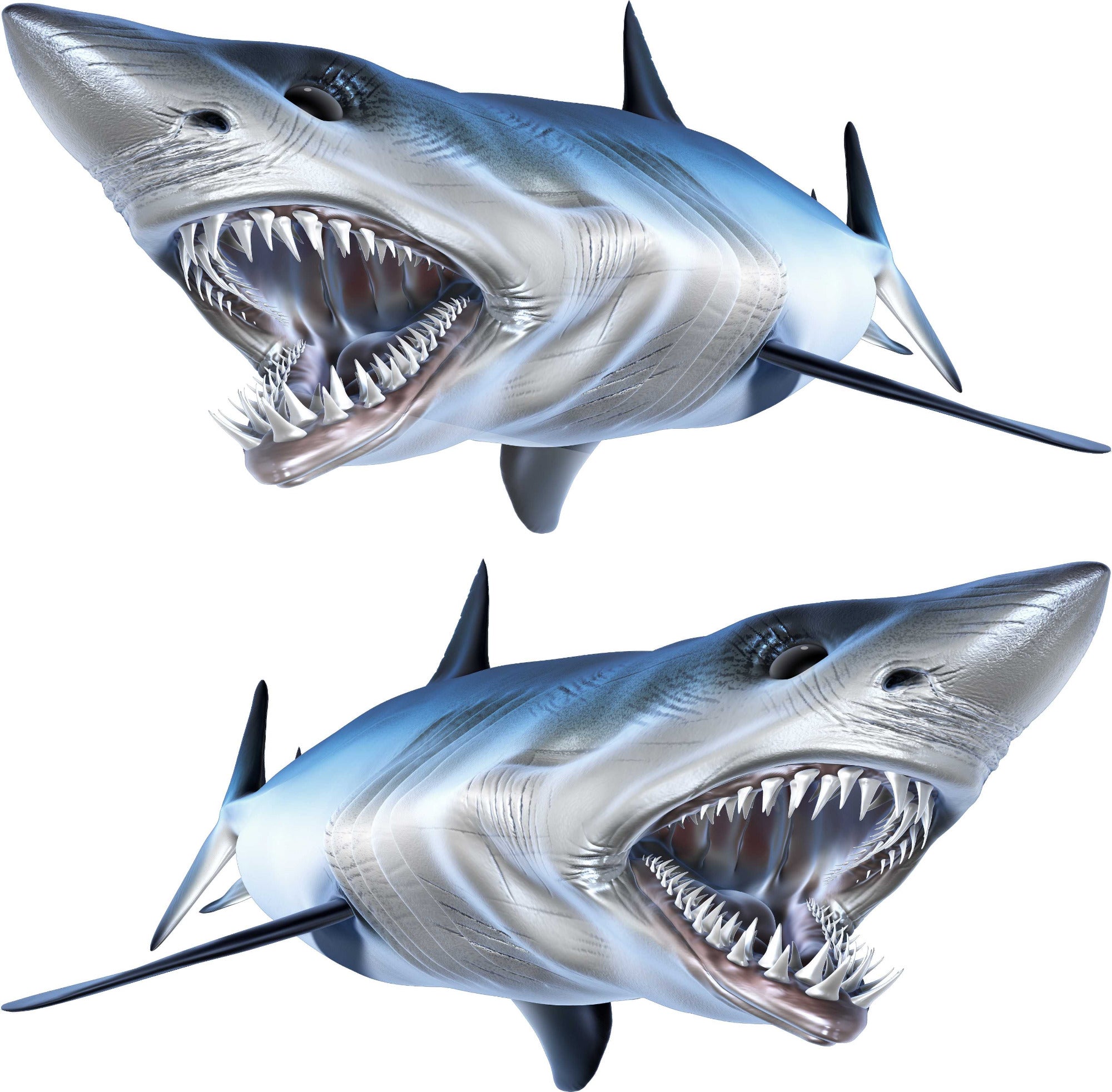 Mako Shark Boat Decal – Aggressive Bow Graphic with Sharp Teeth ...