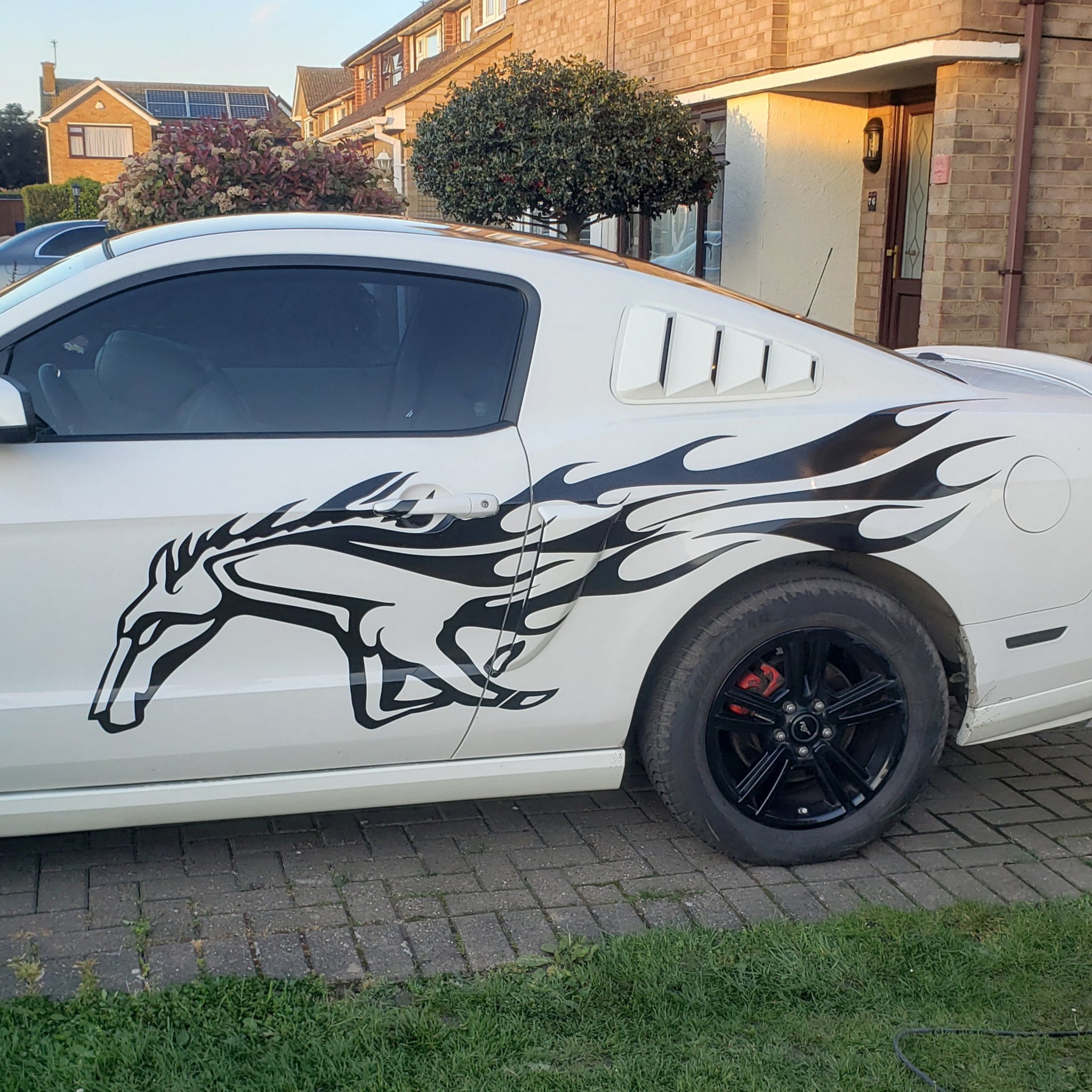 horse decals
